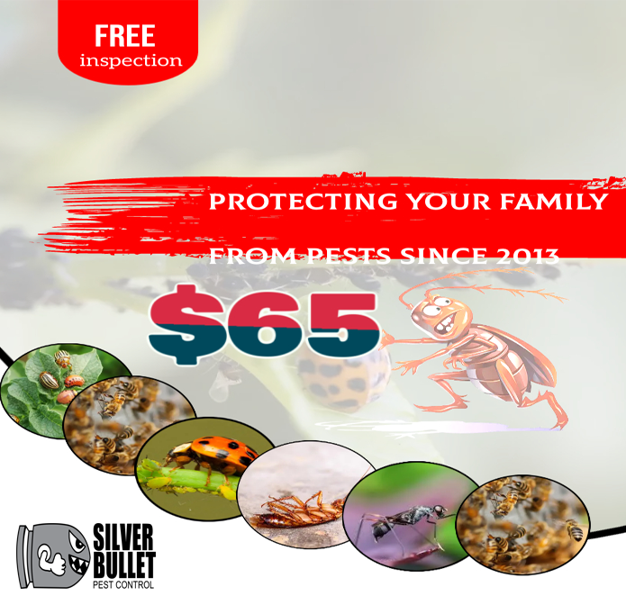 Pest Control 65$ A Month Treatments » New Jersey Pest Control Services